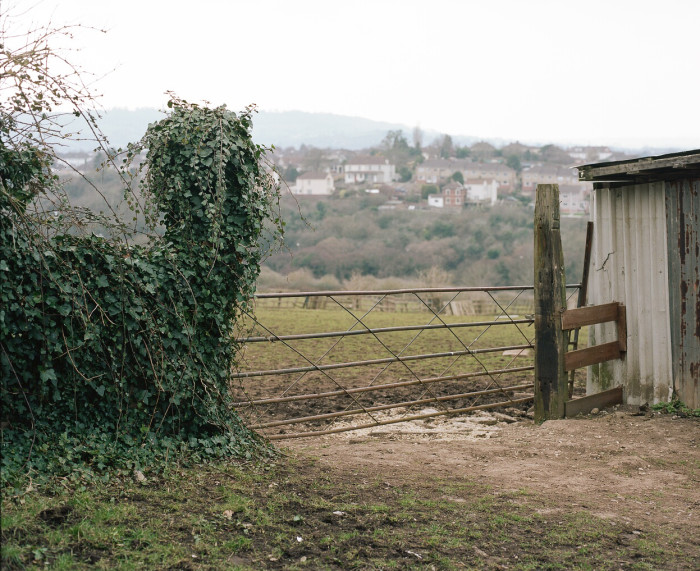 A silent mind’s view of Knowle West - The Bristol Cable