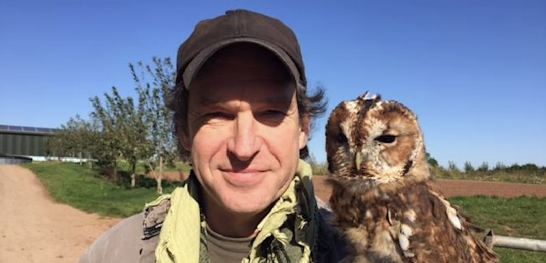 Owl Prowl - The Bristol Cable