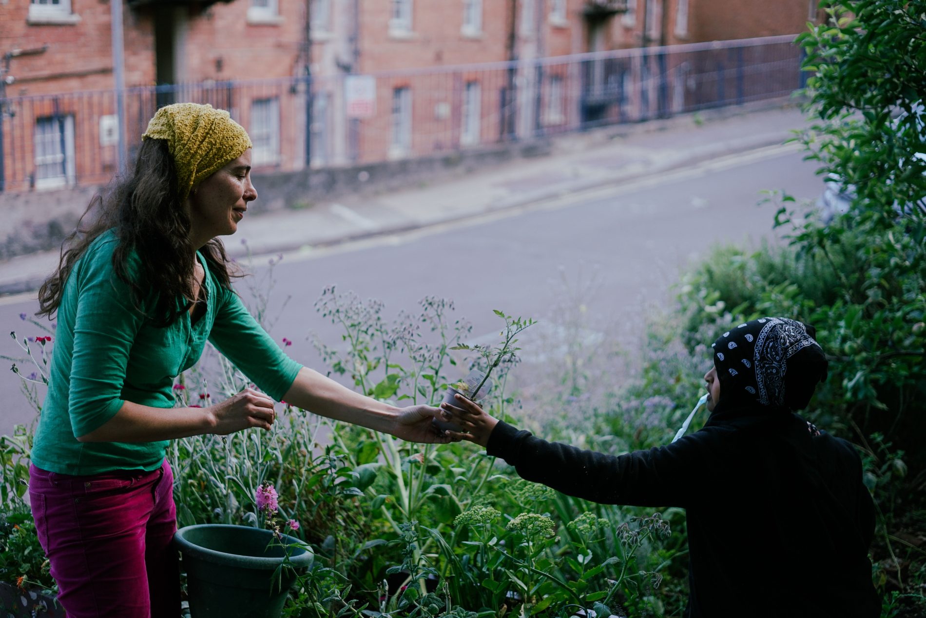 High-rise residents pick up trowels to fight negative stereotypes