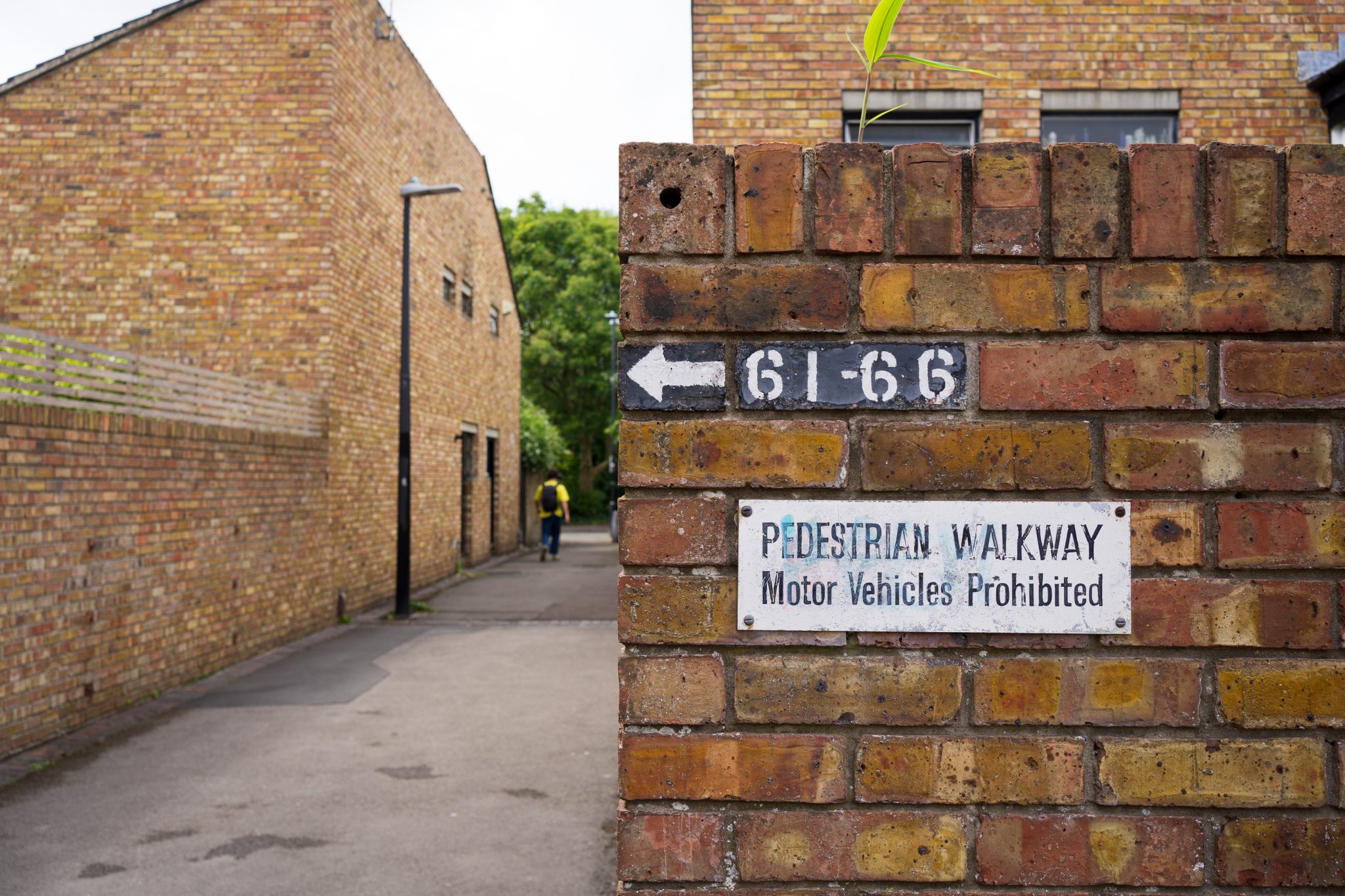 ‘My anxiety levels are off the scale’: Tempers fray as student houses multiply on estate - The ...