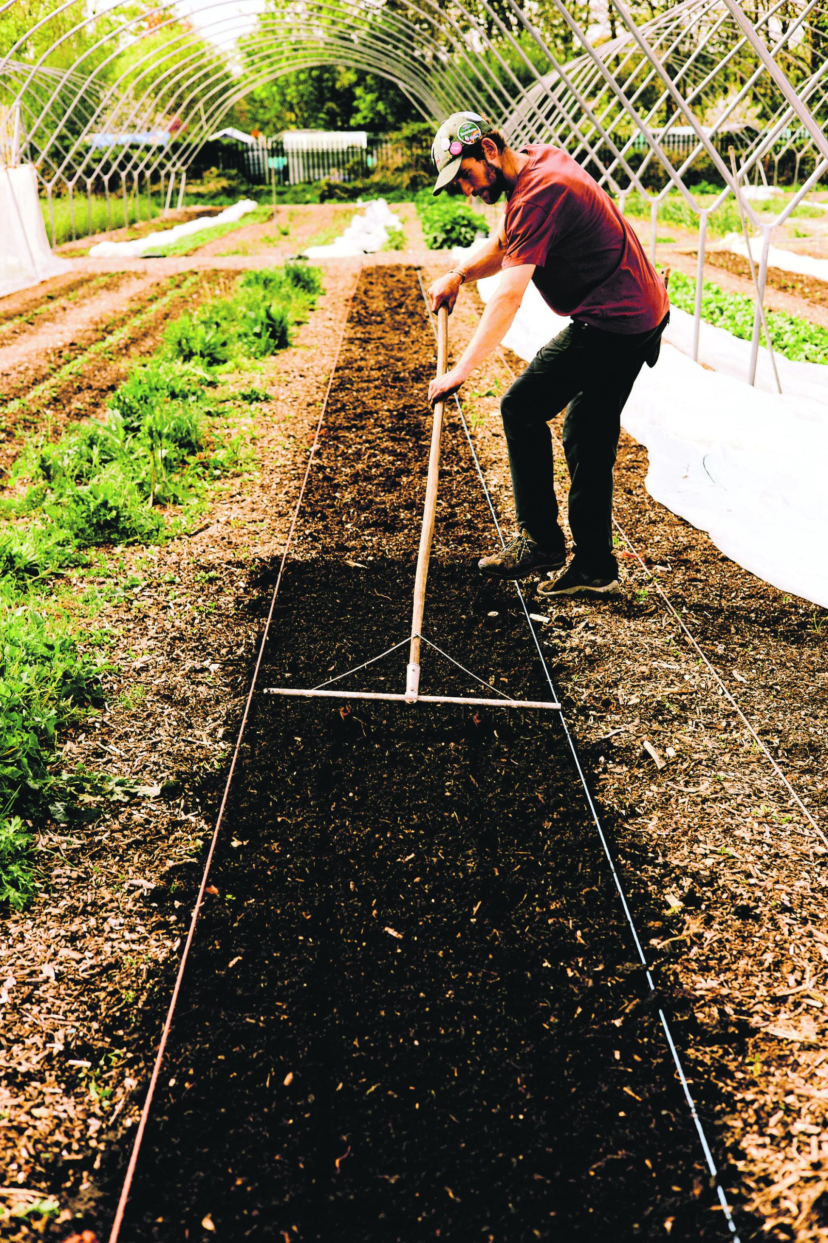 Can urban growing deliver a food revolution?