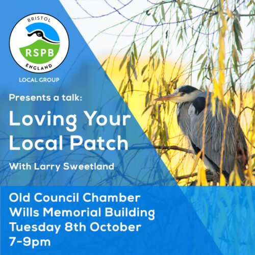 Talk: Loving Your Local Patch w/RSPB Bristol Local Group & Larry ...